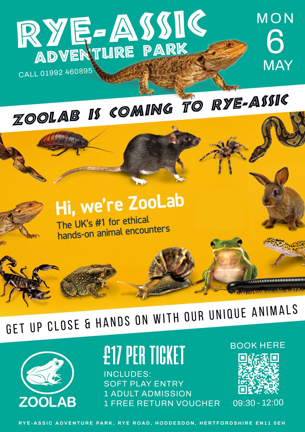 Offers – Rye House