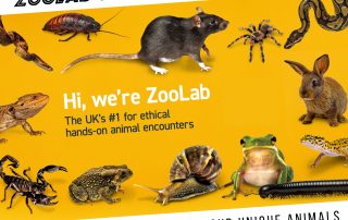 Rye-assic – Rye House