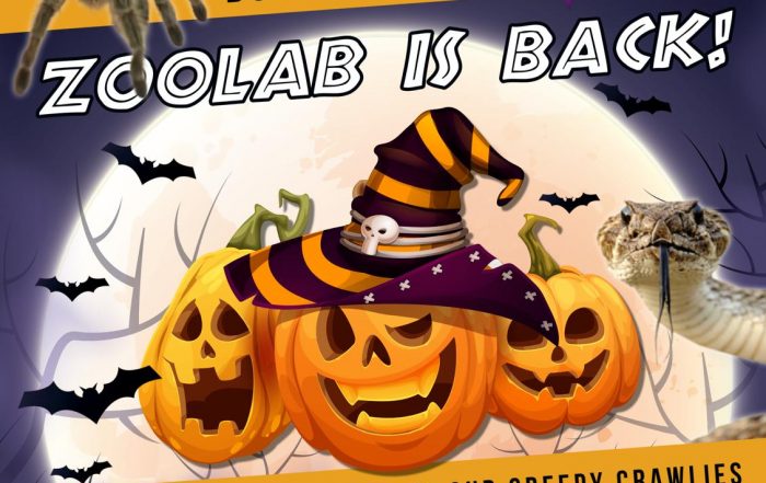 Rye-assic – Rye House