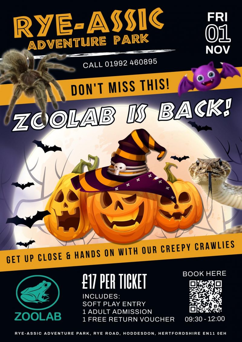 Rye House – Kart Racing & Events